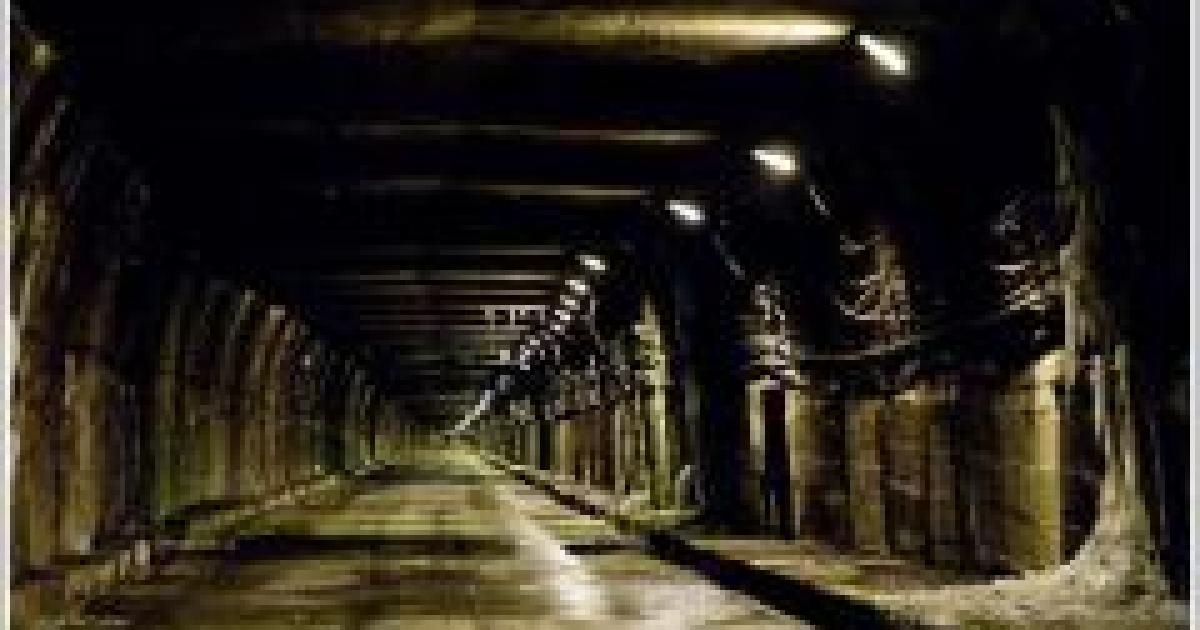 ორი ალანია | ჰაინრიჰ ბიოლის ფონდის სამხრეთ კავკასიის რეგიონული ბიურო